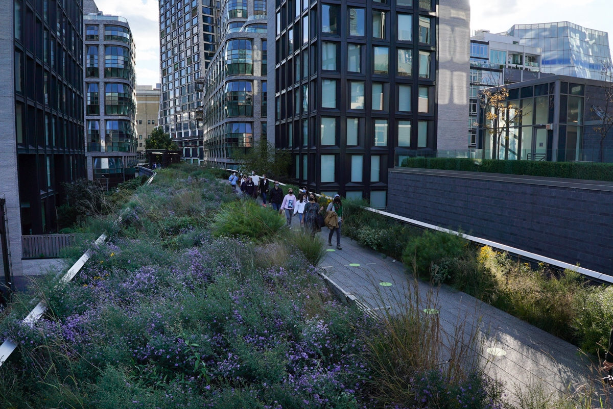 Visit the High Line for One of the Most Scenic New York Walks - From ...