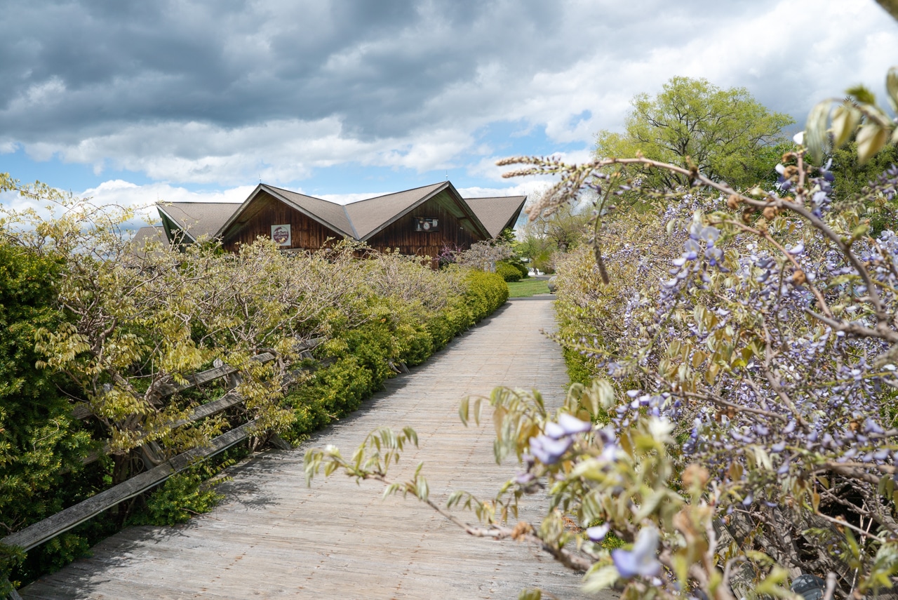 Plan a Trip to the Finger Lakes Wine Trails