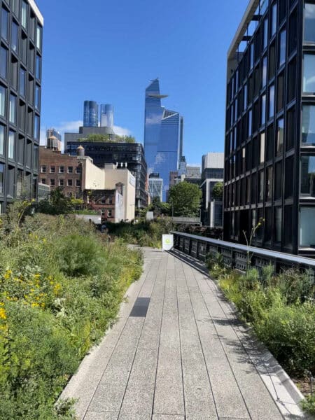 Visit the High Line for a Scenic New York Walk