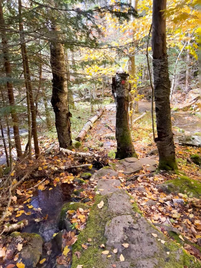 Best Things to do in Windham, NY in the Fall - From Inwood Out