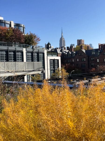 Fall in New York City