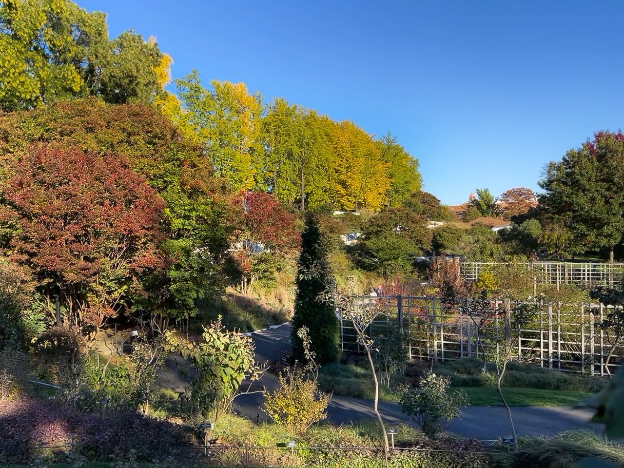 Fall in New York City